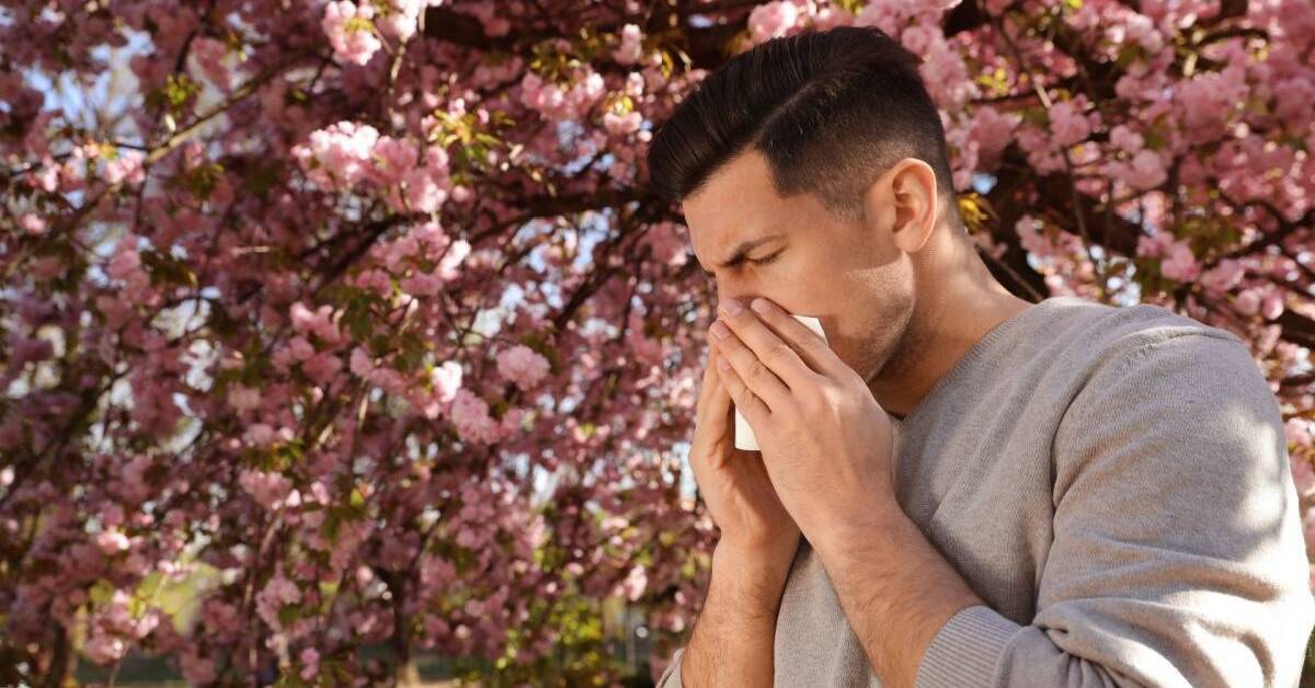 Coping with Allergies in San Diego - Scripps Health