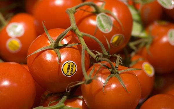 Cracking the Produce Sticker Code